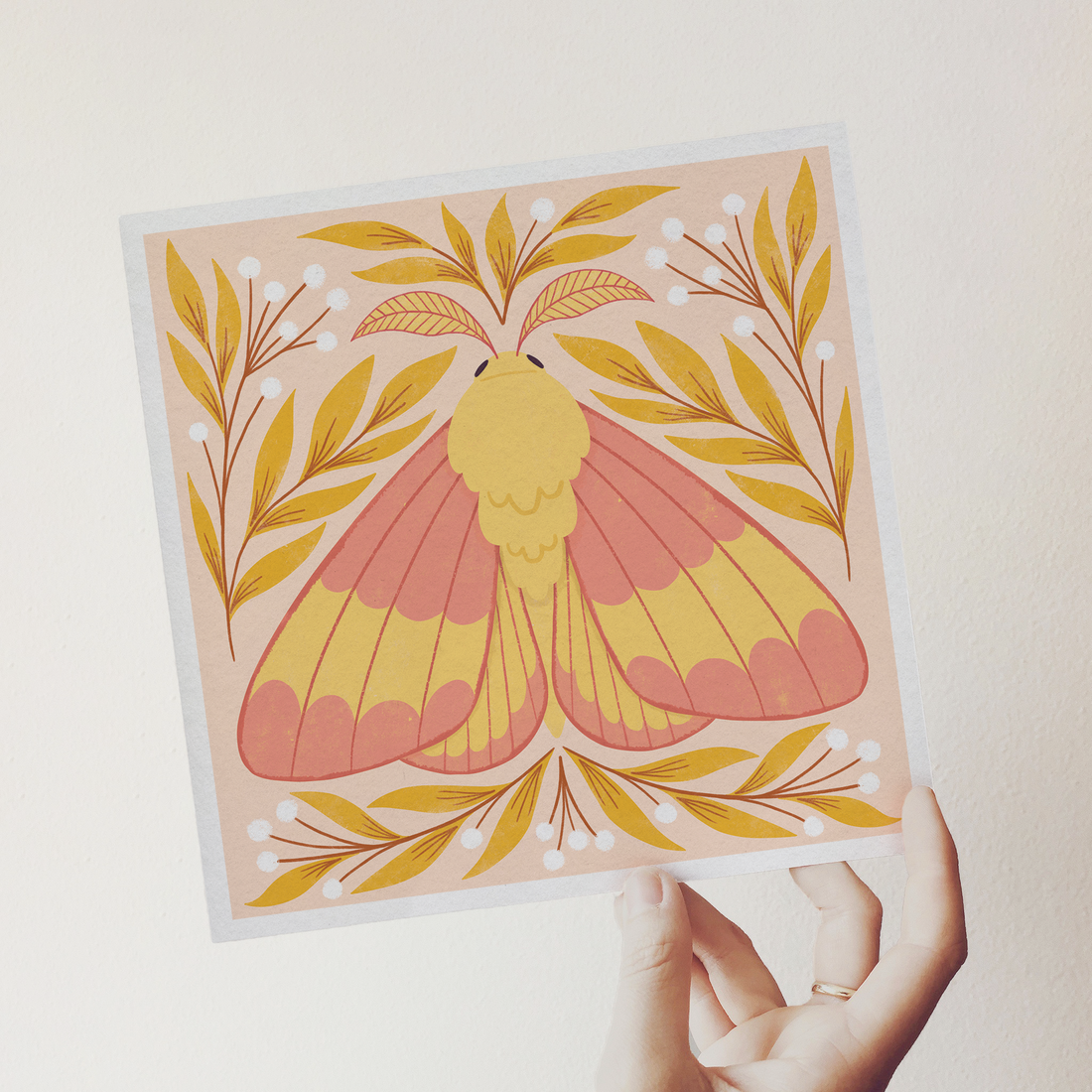 rosy maple moth art print – oh, little wren (Oh Little Wren)